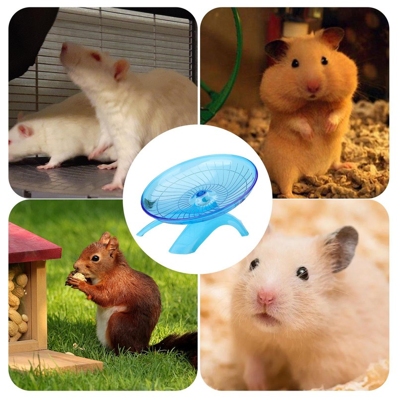 Flat Running Disc Small Animal Flying Saucer Exercise Wheel Hamster Mi ...