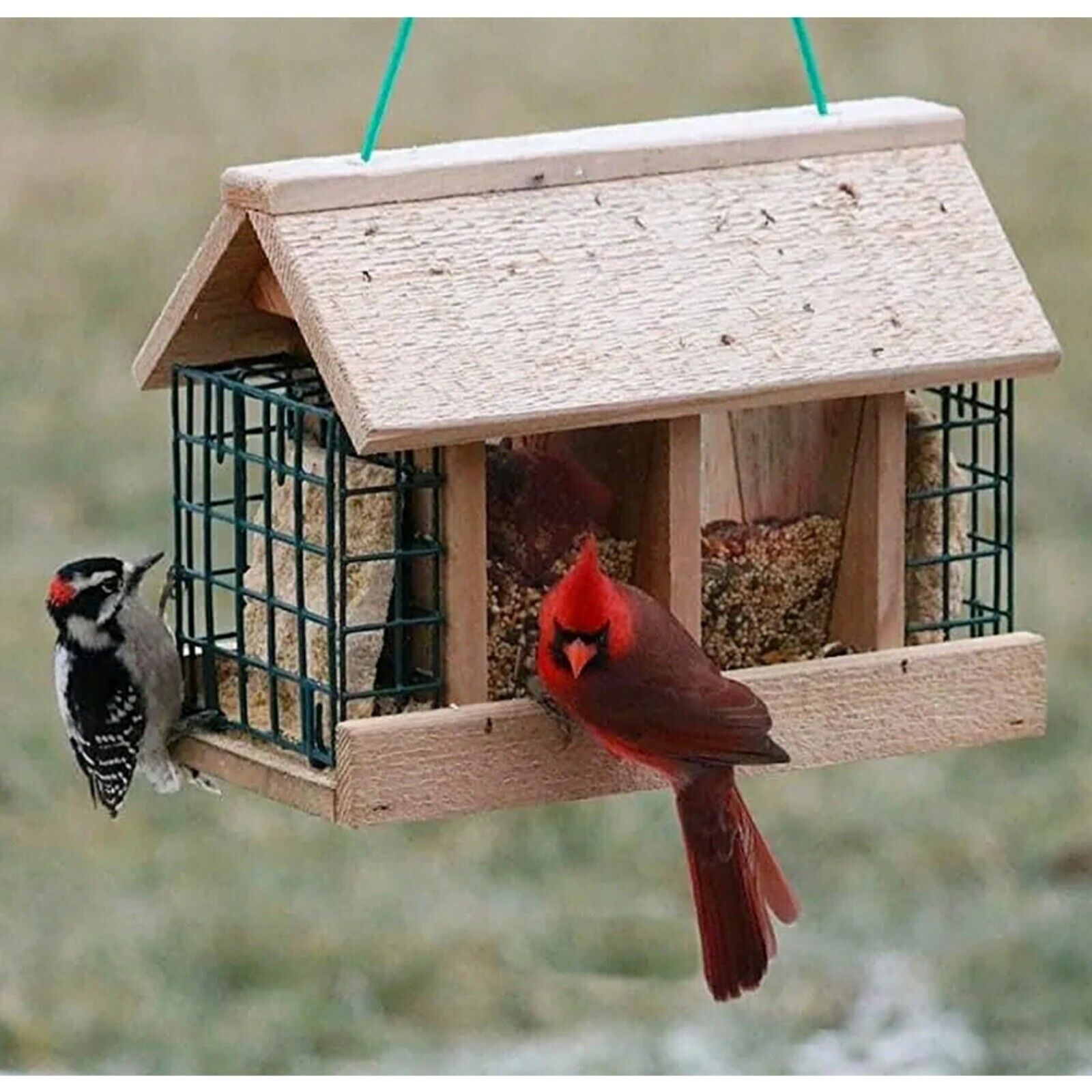 Hopper bird feeder store