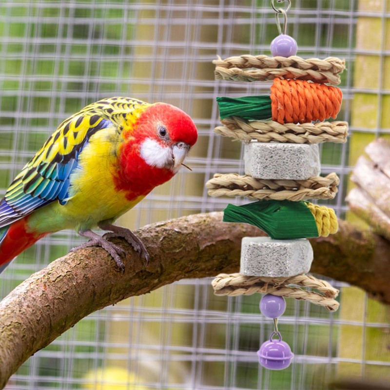 Bird Parrot Chewing Block Toys Natural Wood Chew