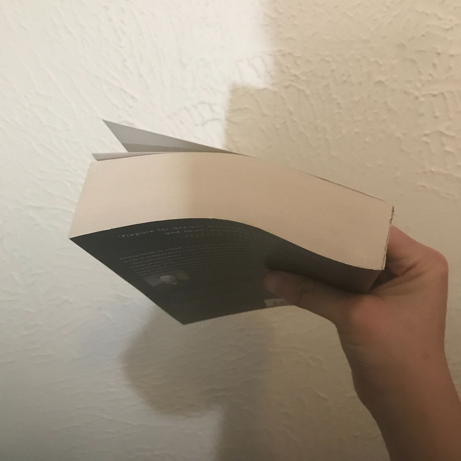 Foundryside: A Novel (The Founders Trilogy) - Paperback - GOOD ...