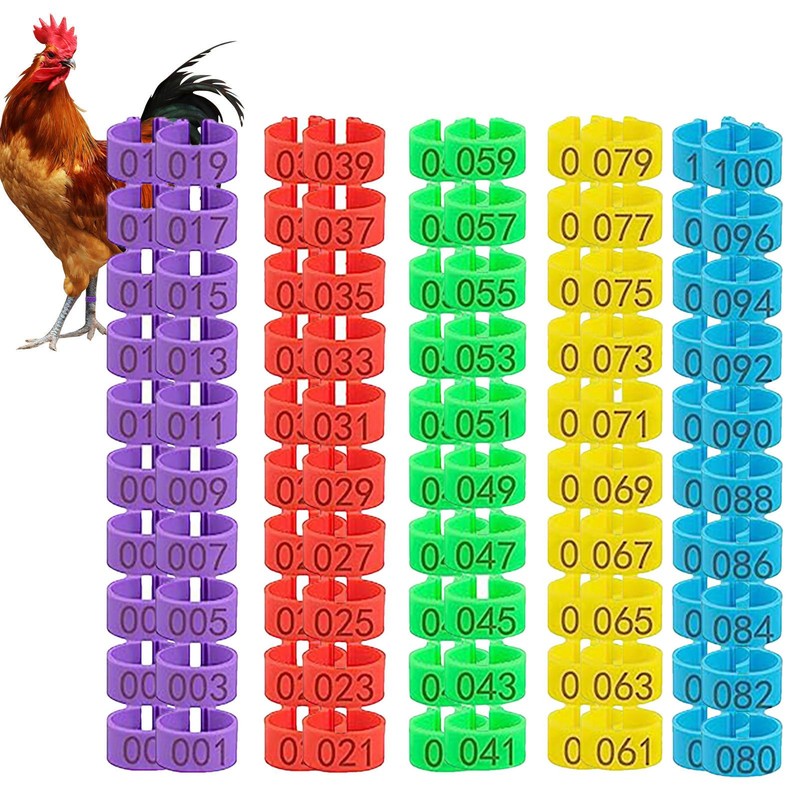 50/100pcs Chicken Leg Rings Clip-On Band Tags Numbered Leg Rings for ...