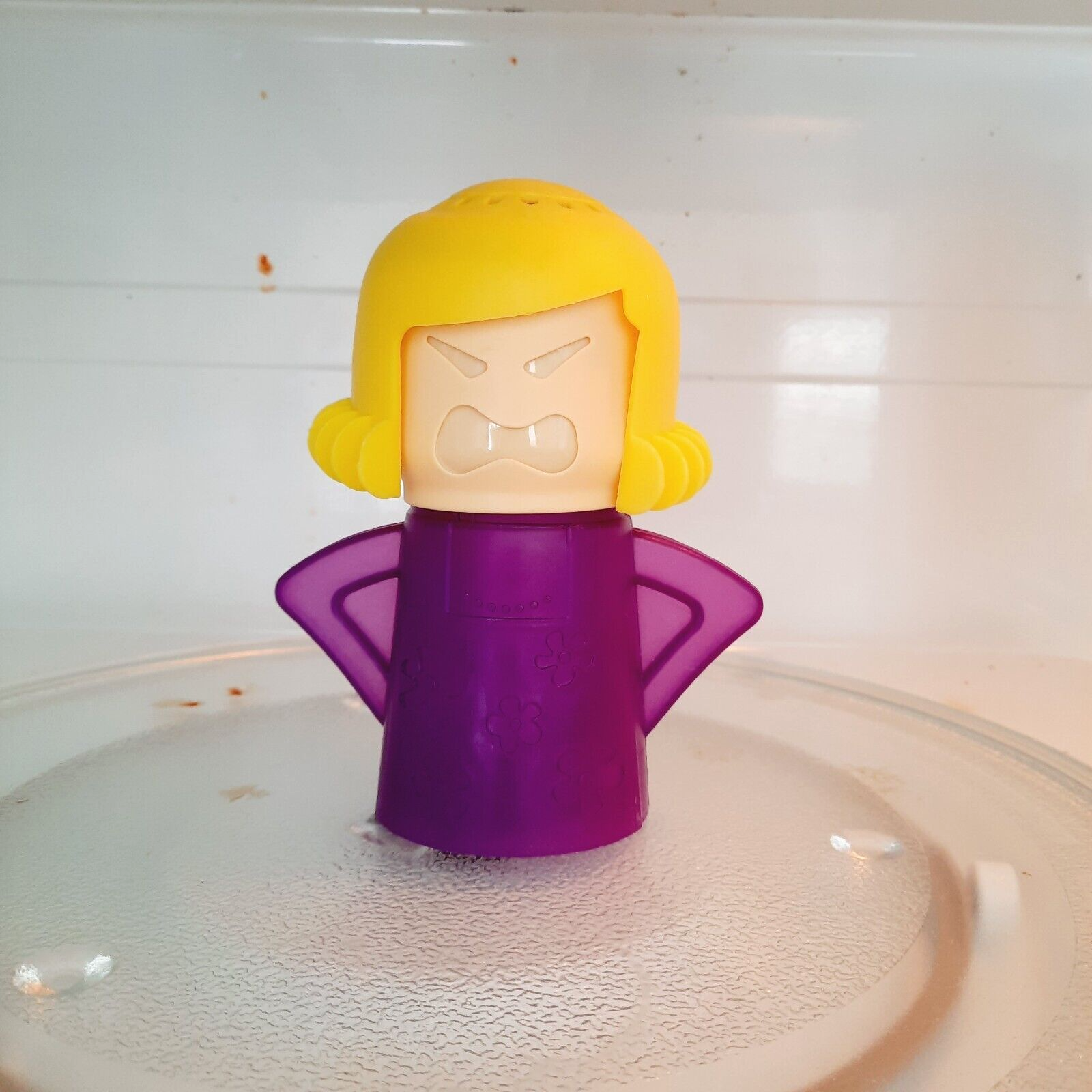 Microwave Steam Cleaner Angry Mama Makes Clean Up