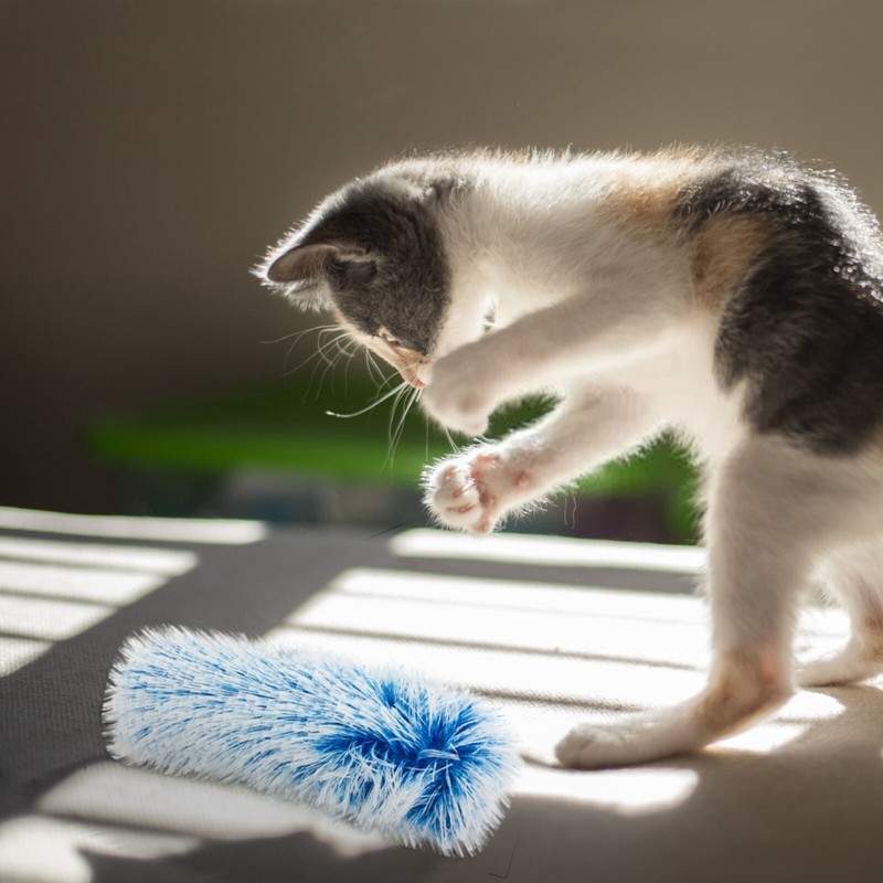 Soft Plush Cat Chew Toy Giant Q-tip Cat Kicker Toys Giant Q-Tip ...