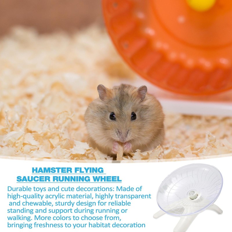 Flat Running Disc Small Animal Flying Saucer Exercise Wheel Hamster Mi ...