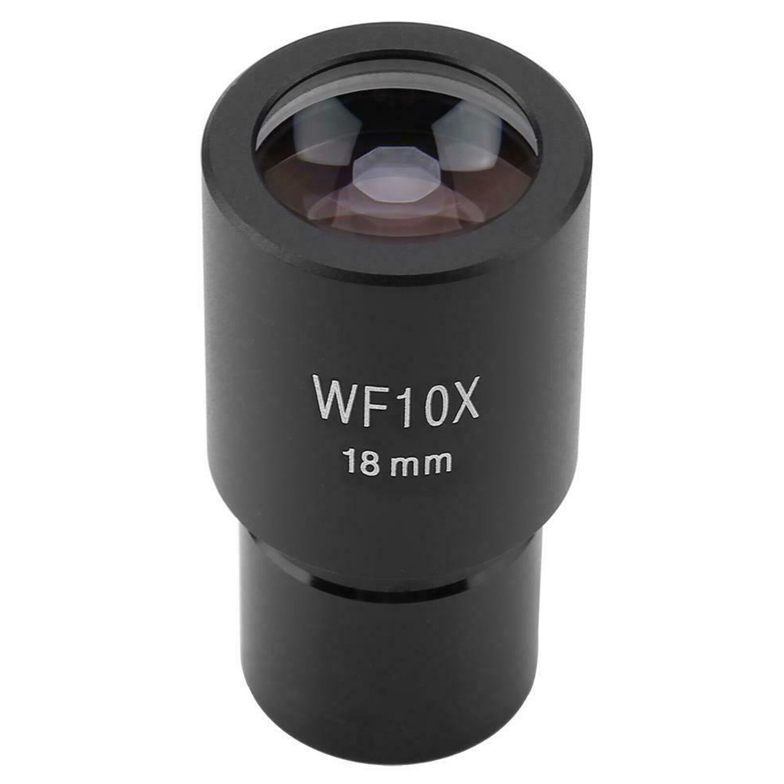 Widefield 10X Eyepiece Reticle for Compound Biological Microscope