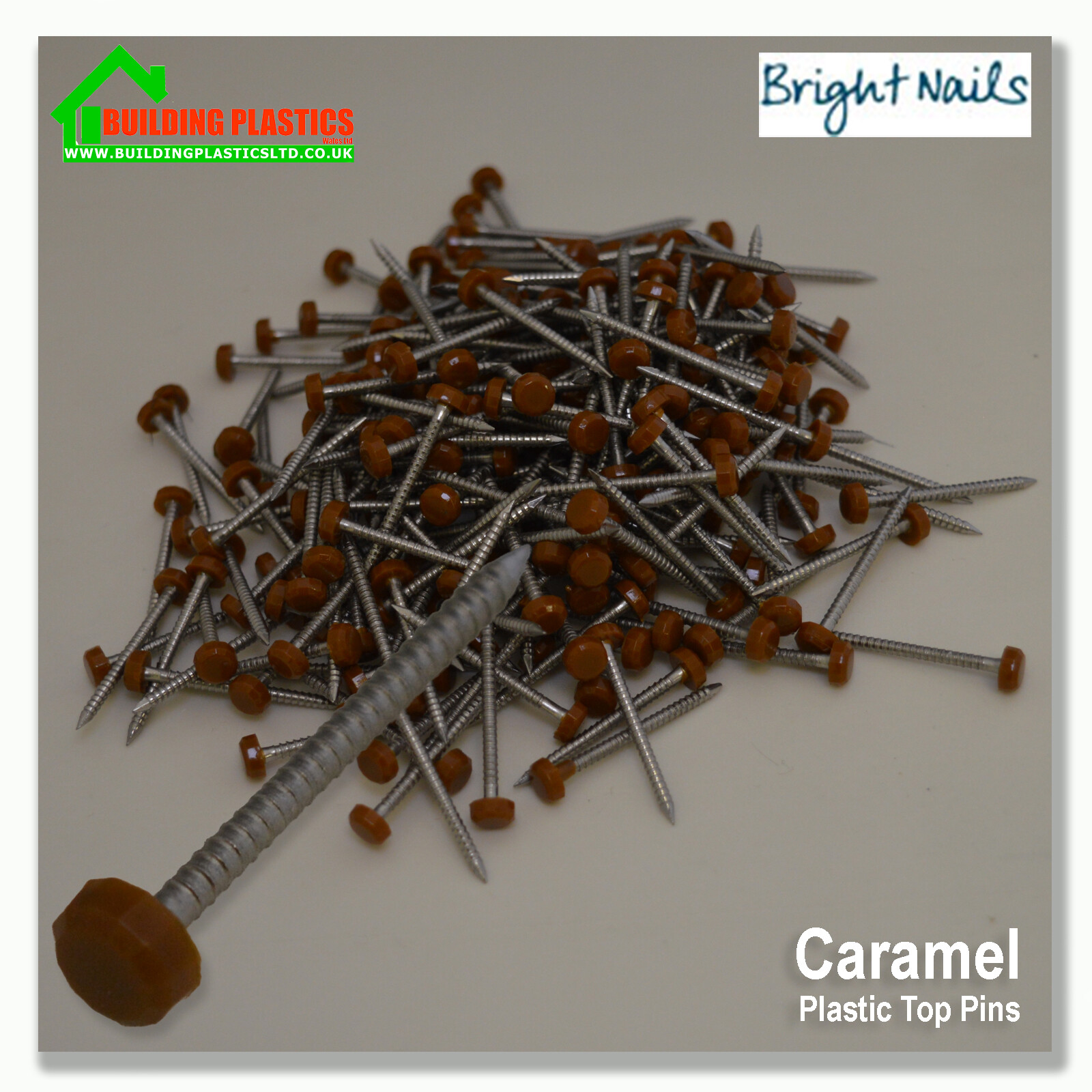 40mm PLASTIC TOP PINS | STAINLESS STEEL | PLASTIC HEADED PINS BOX OF ...