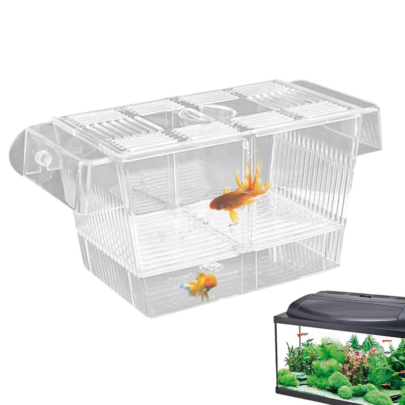 Aquarium Hatchery Trap Fish Breeding Box Tank Fry Breeder Isolation Ca ...