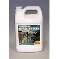 1gallon Merck Ultra Boss Pour on Insecticide Cattle Sheep Goat Horses ...
