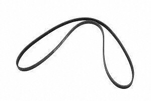 ACDelco GM OE/GM Genuine Parts 12658091 - Serpentine Belt for sale ...