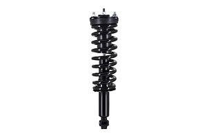 Suspension Strut and Coil Spring Assembly Top Notch ASS0495 for sale ...