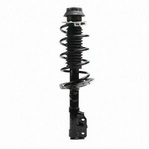 PRT 920209 Shocks and Struts - Suspension Strut and Coil Spring ...