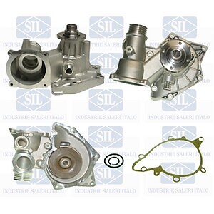 Saleri PA868 Water Pump and Related Components - Engine Water Pump for ...