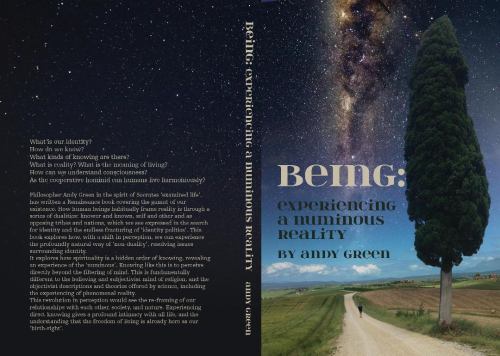 BEING, Experiencing a Numinous Reality by Andy Green (2020, Trade ...