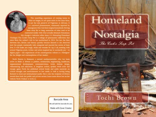 Homeland Nostalgia : The Cook's Soup Pot by Tochi Brown (2014, Mass ...