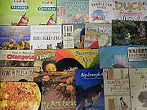 Harcourt School Publishers Storytown : Challenge Book Packs (18 titles ...