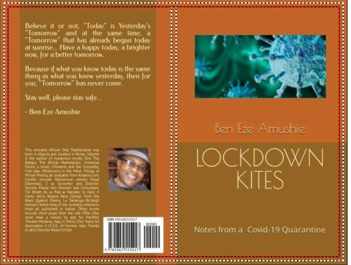 Unapologetically African by Ben Eze Amushie (2025, Trade Paperback) for ...