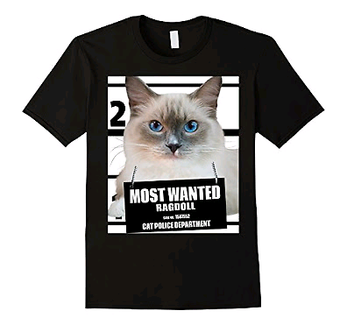 Adelaide Region, SA | Cats & Kittens | Gumtree Australia Free Local ...