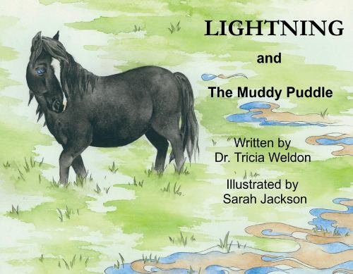 Lightning and the Muddy Puddle by Tricia Weldon (2022, Trade Paperback ...