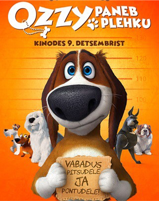 Ozzy (2016) HD DVD | in Droylsden, Manchester | Gumtree