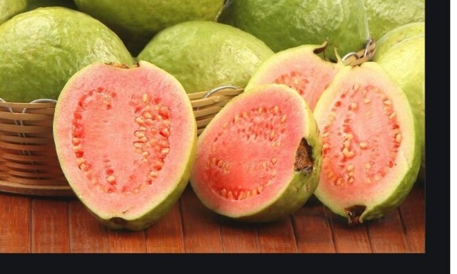 Guava, Hawaiian guava fruit tree | Plants | Gumtree Australia Gold ...