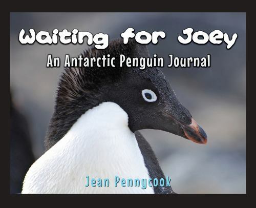 Waiting for Joey : An Antarctic Penguin Journal by Jean Pennycook (2018 ...