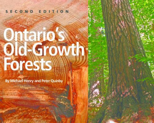 Ontario's Old Growth Forests, 2nd Edition by Peter Quinby and Michael ...