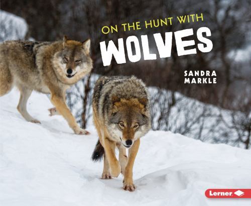 On the Hunt with Wolves by Sandra Markle (2022, Trade Paperback) for ...