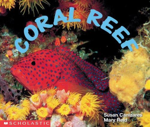 Emergent Readers Ser.: Coral Reef by Mary Reid, Susan Canizares and Inc ...