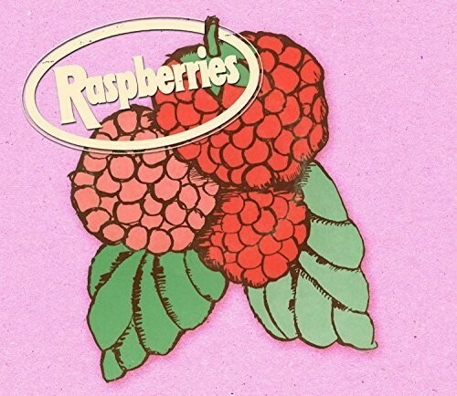 Classic Album Box Set by The Raspberries (CD, 2015) for sale online | eBay