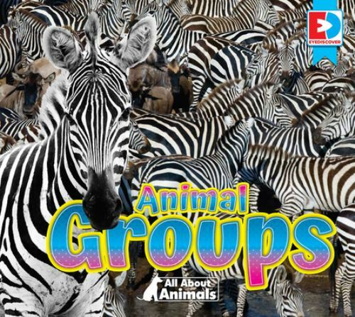All about Animals - Animal Groups by Weigl (2019, Library Binding) for ...