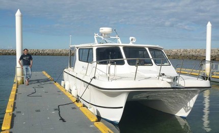 shark cat | Boats & Jet Skis | Gumtree Australia Free Local Classifieds