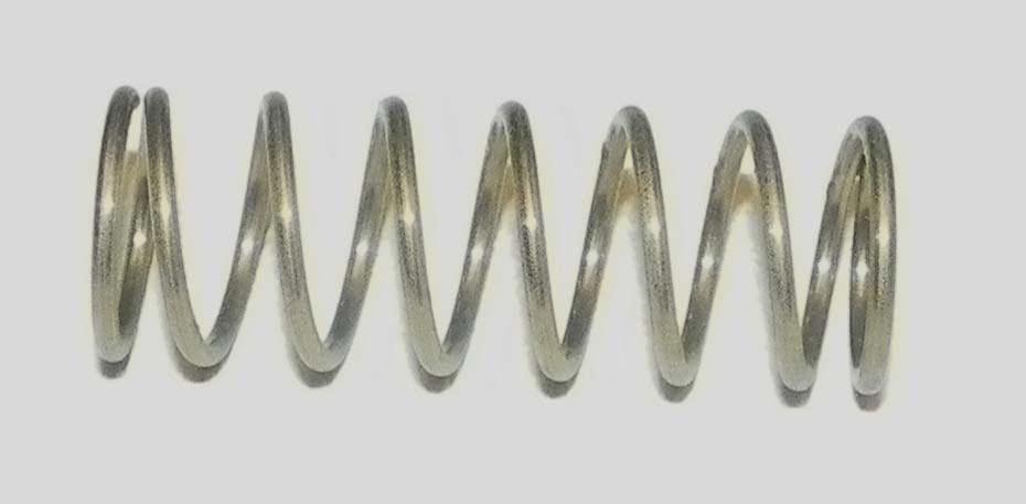 WSM - 010-034 - Spring for Powe Valve for sale online | eBay