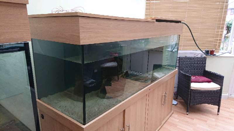 6Ft Aquarium for sale in UK | 48 used 6Ft Aquariums