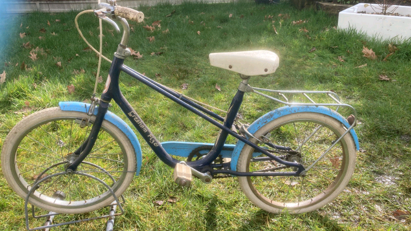 Raleigh Flyer for sale in UK | 14 used Raleigh Flyers