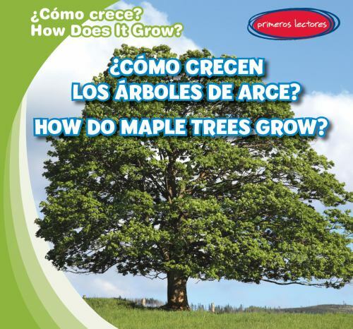 ¿Cómo Crecen Los árboles de Arce? / How Do Maple Trees Grow? by ...
