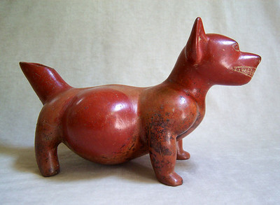 The Americas - Pre-Columbian Colima Dog - Vatican