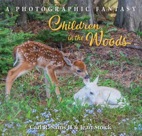 Children in the Woods by Carl Sams (2018, Hardcover) for sale online | eBay