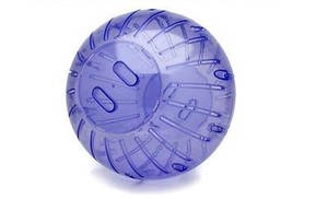 RAT EXERCISE BALL Large Play Ball For Rats 10" Approx COLOURS WILL VARY ...