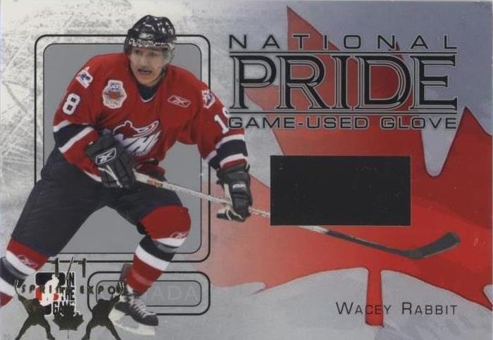 2006-07 In the Game Heroes and Prospects - National Pride Game Used ...