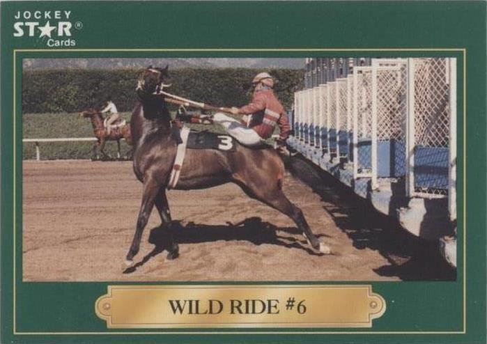 1991 Horse Star Jockey Star Cards - Wild Ride #6 #218 for sale online | eBay