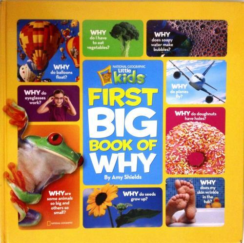 Little Kids First Big Book of Why by Amy Shields (2011, Hardcover) for ...