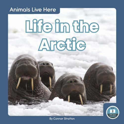 Life in the Arctic by Connor Stratton (2020, Hardcover) for sale online ...