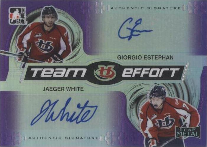 2014-15 In The Game Leaf Metal - Team Effort Purple Prismatic #TE-16 ...