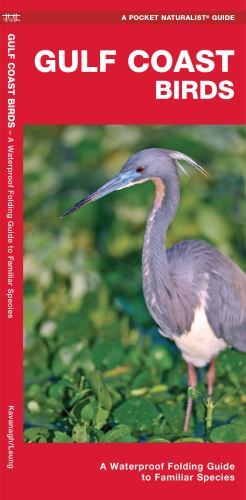 Gulf Coast Birds : A Waterproof Folding Guide to Familiar Species (2022 ...