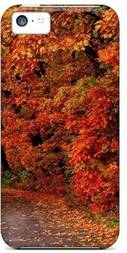 Prophecy by Wright, David & Carys (CD, 2017) for sale online | eBay