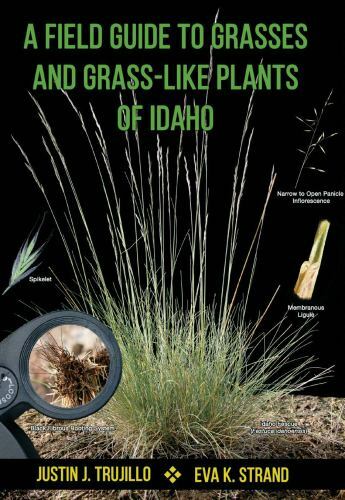 Field Guide to Grasses and Grass-Like Plants of Idaho by Justin ...