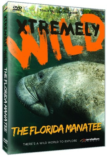 Florida Manatee (DVD) for sale online | eBay