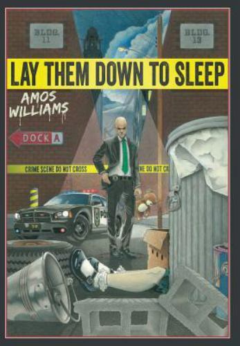 Lay Them down to Sleep by Amos Williams (2016, Hardcover) for sale online | eBay