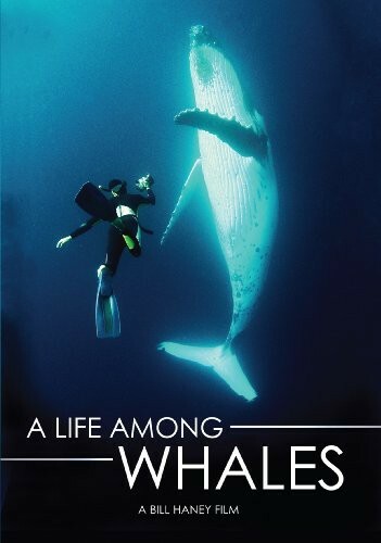 Alife Among Whales (DVD, 2005) for sale online | eBay