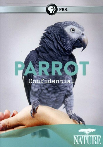 Nature: Parrot Confidential (DVD) for sale online | eBay